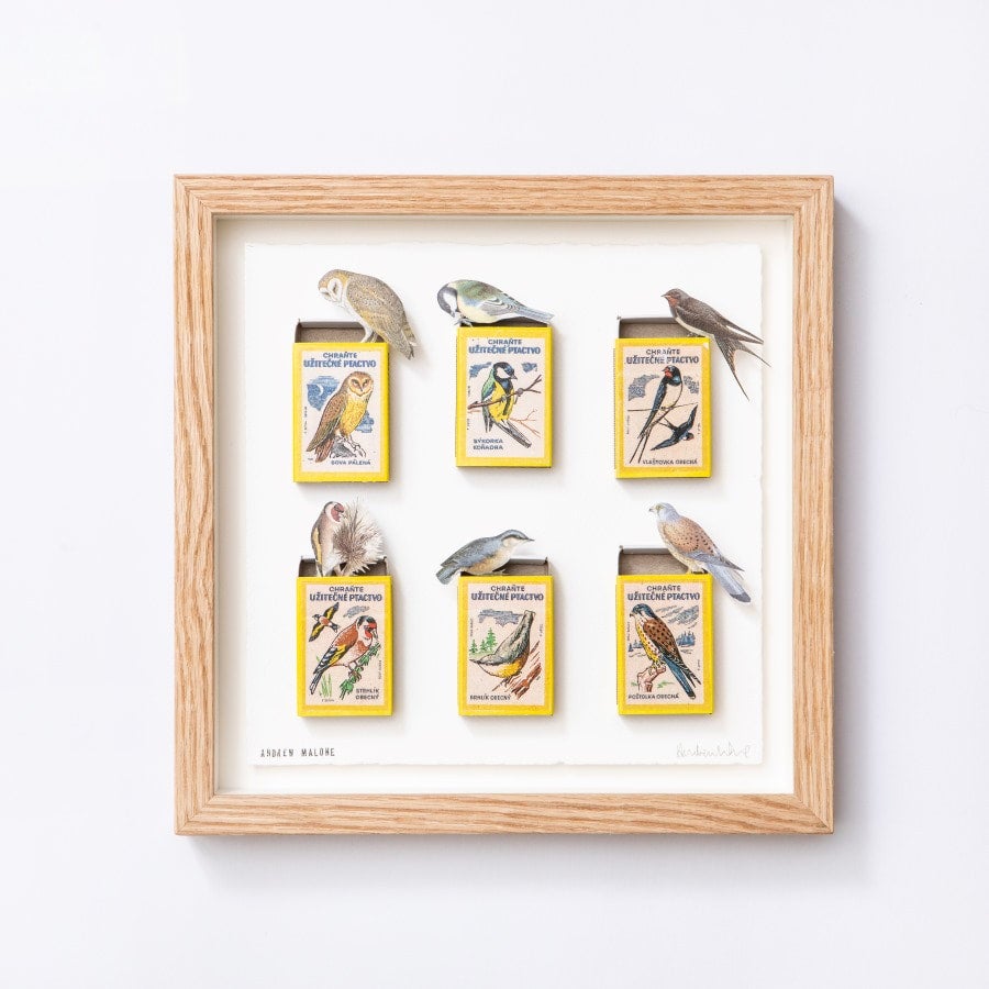 Yellow Bird Collage | Andrew Malone