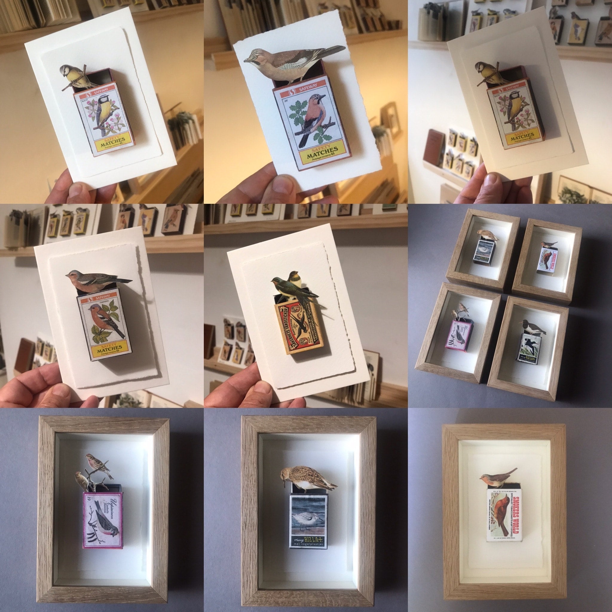 Single Bird Matchbox Collage | Andrew Malone